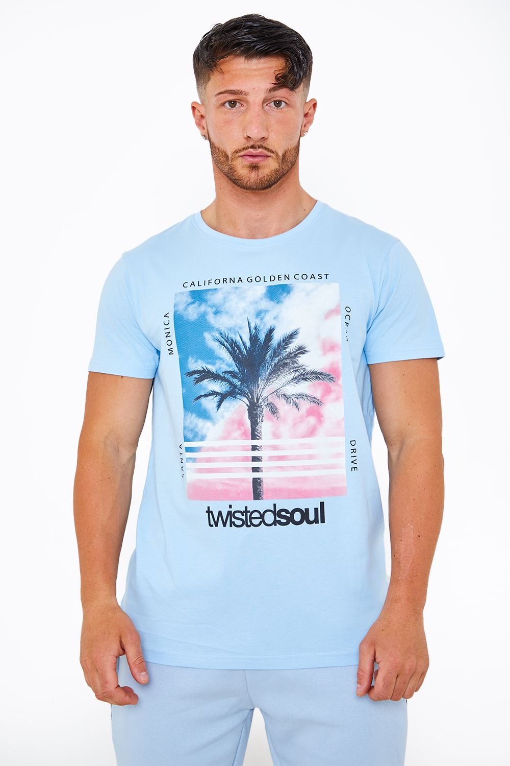 Men's Short Sleeve T-Shirt Blue Inc | Twisted Soul Palm Stripe